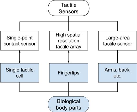 Figure 1 From Robotic Tactile Perception Of Object Properties A Review Semantic Scholar