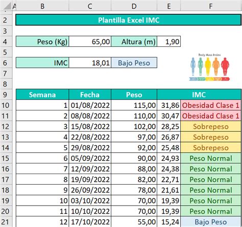 Calcule El Imc En Excel Usando Esta Formula De Calcul
