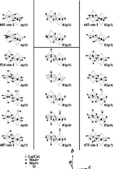 The Vibrational Patterns Proposed For The Raman Active Modes Only Two