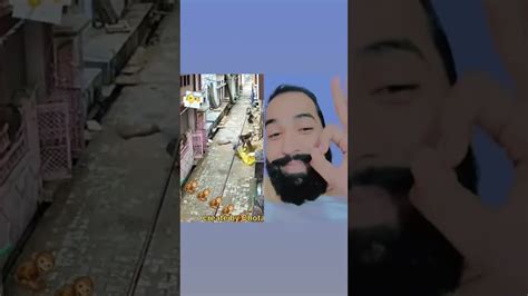 Bandar Se Panga Nahi Lena 😅🤣🤣🤣😅😅comedy Funnyshorts Comedyshorts