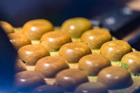 부드럽고 바 삭 바 삭 오븐 홍콩 계란 달걀 퍼프에서 전통적인 홍콩 와플 가이단자이에 대한 스톡 사진 및 기타 이미지 가이단자이 갈색 갑각류 Istock