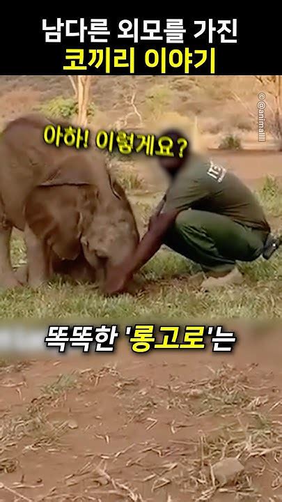 남다른 코를 가진 코끼리 이야기 Youtube