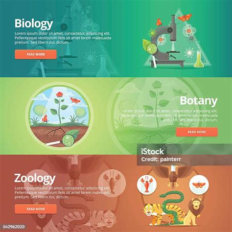 교육 및 과학 배너 설정합니다 벡터 디자인식 컨셉입니다 0명에 대한 스톡 벡터 아트 및 기타 이미지 0명 개념 개념과 주제 Istock