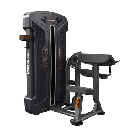 Biceps And Triceps Track And Trail