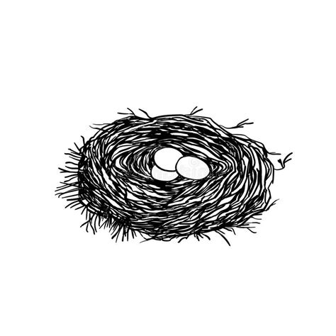 Bird Nest With Eggs Easter Hand Drawn Vector Illustration Template