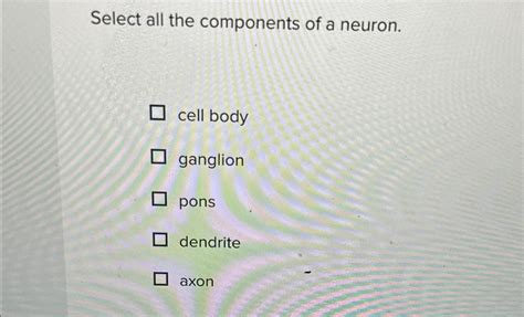 Solved Select All The Components Of A Neuron Cell Chegg