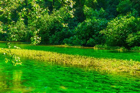 프랑스에서 퐁텐 드 보 클 루 세 마을 통과 라 Sorgue 강 강에 대한 스톡 사진 및 기타 이미지 강 강둑 걷기 Istock