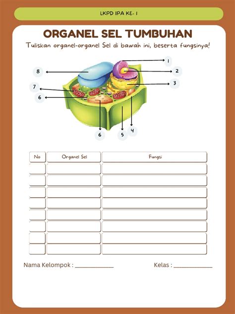 Lkpd Sel Tumbuhan Pdf