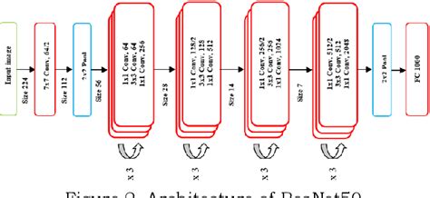 Figure 1 From Fingerprint Analysis For Age Estimation Using Deep Learning Models Resnet50 And