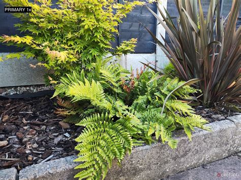 Poco F Gt Review Blurring The Lines