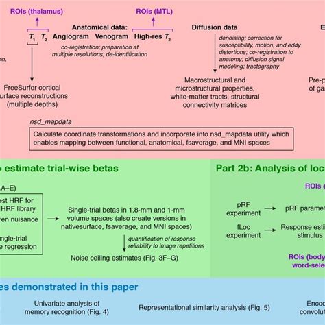 Representational Similarity Analysis Reveals Transformations Of Download Scientific Diagram