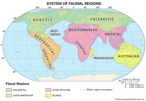 Nearctic Region Faunal Region Britannica