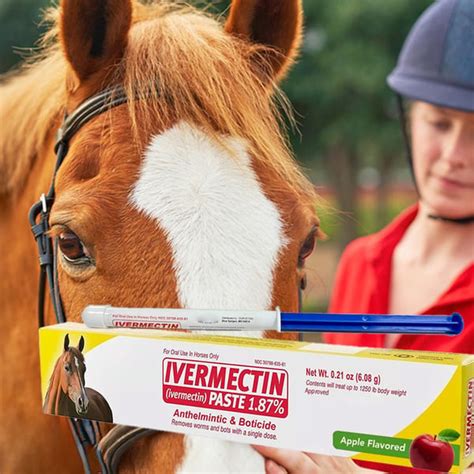 ⏳limited Time Deal Buy 1 Get 1 Free🐎ivermectin Horse Paste 187 608g