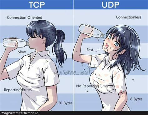 TCP And UDP Visualized ProgrammerHumor Io