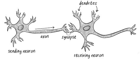 10 Neural Networks Nature Of Code
