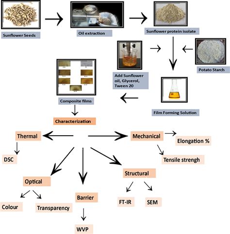 Development Of Sunflower Protein Isolate Emulsion‐based Edible Composite Films With The Addition