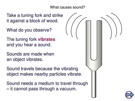 tuning fork lab answers at peggy bradley blog