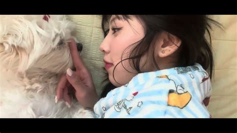 뽀뽀하는 강아지 Youtube