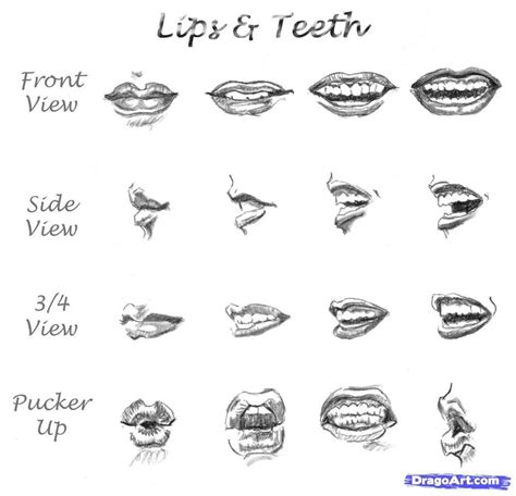How To Draw A Nose And Lips Lips Drawing Lips Sketch Draw Realistic