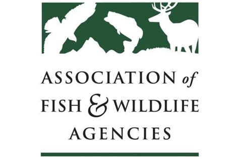 Statement From The Association Of Fish And Wildlife Agencies On The
