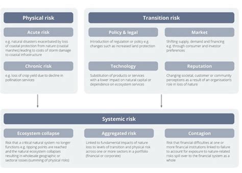 Nature Related Risks Definition Biodiversity A Z
