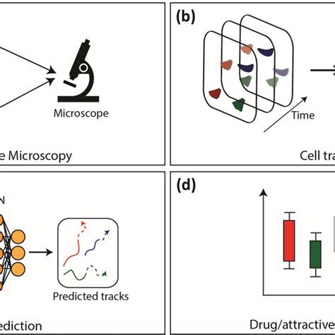 A Schematic Representation Of The Proposed Method A Time Lapse