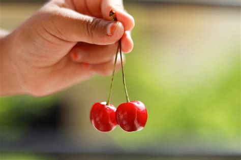 Cereza Fruta Mano Foto Gratis En Pixabay Pixabay