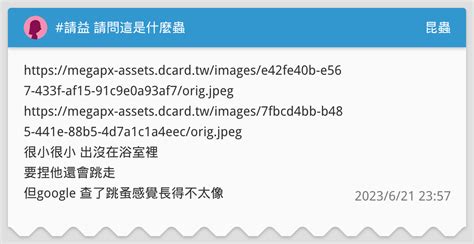 請益 請問這是什麼蟲 昆蟲板 Dcard