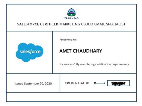 Amit Chaudhary On Linkedin Finally Certified Salesforce Marketing Cloud Email Specialist