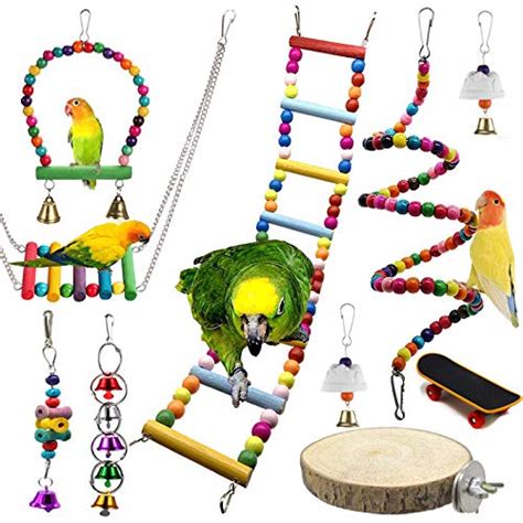 Comprar Juguetes Interactivos Para Loros Tienda Loros