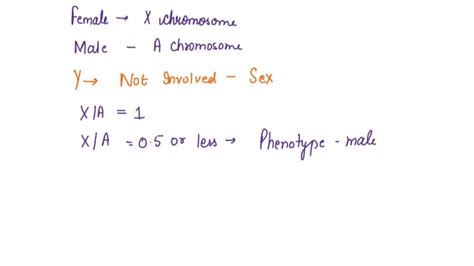 Solved What Is The Sexual Phenotype Of Fruit Flies Having The