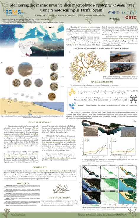 Pdf Monitoring The Marine Invasive Alien Macrophyte Rugulopteryx