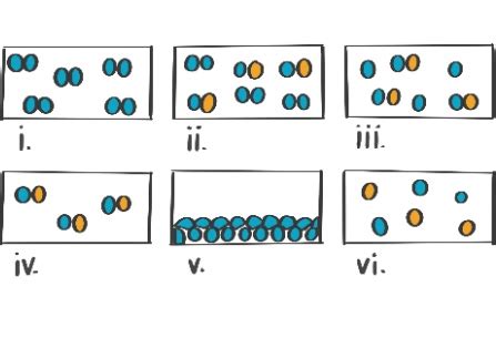 Match Each Description Below With The Following Microscopic Pictures