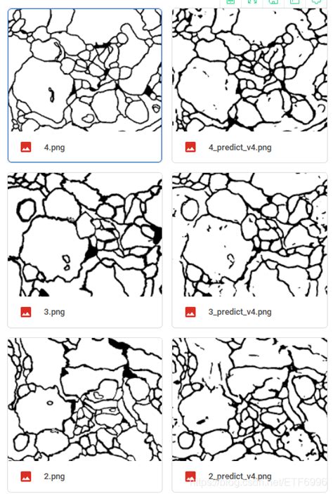 Unet实现细胞分割unet 细胞 Csdn博客 Unet实现细胞分割unet 细胞 Csdn博客