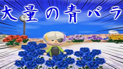【とび森】青バラと青バラを交配させたら大量の青バラが出来る！？【part129】 Youtube
