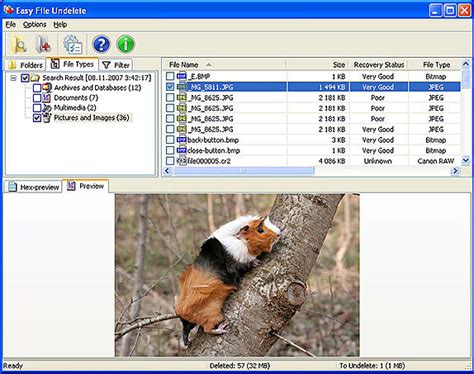 Easy File Undelete Recovery Software Download For PC