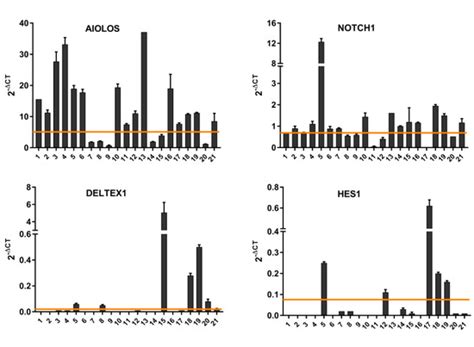 Biomedicines Free Full Text Analysis Of Primary Chronic Lymphocytic Leukemia Cells