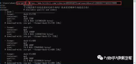 教你使用python下载b站等各大主流网站音视频 知乎