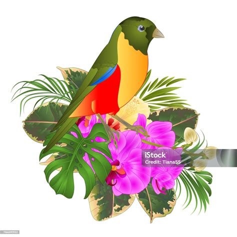 아름다운 난초와 히비스커스 손바닥 Philodendron 및 선인장 빈티지 벡터 일러스트레이션 편집 가능한 열대 꽃 꽃 배열작은