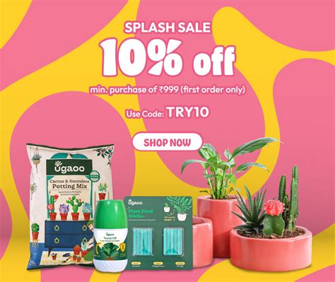 13 Different Types Of Cedar Trees Exploring The Evergreen Charm Of Cedar Ugaoo 13 Different Types Of Cedar Trees Exploring The Evergreen Charm Of Cedar Ugaoo