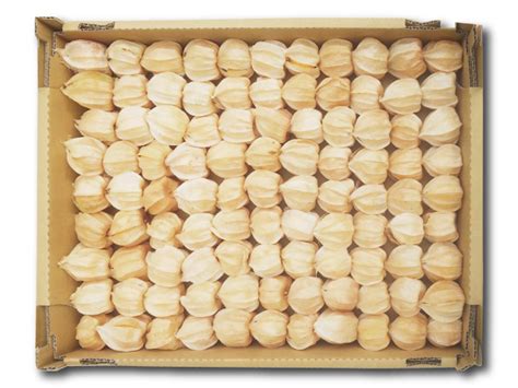 バディアス農園 食用ほおずき「太陽の子」贈答用700g