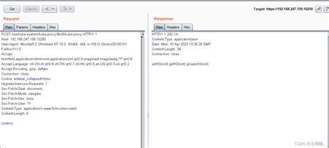 云安全—kubelet 未授权kubelet Api 未授权访问漏洞 Csdn博客