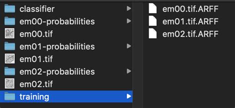 Github Manerotoni Fiji Plugin Cats