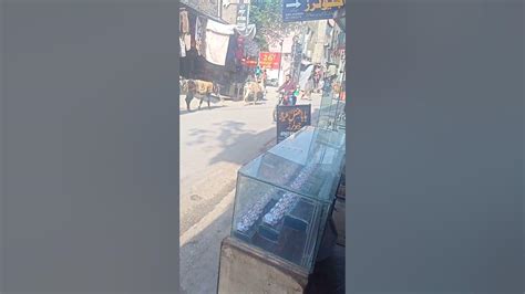 گرمیاں آ گئی ہیں گرمیوں میں ایک مہینہ ایسا بھی ہوتا ہے جب کھوتا یعنی