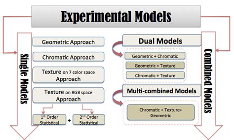 Single And Combined Model Approaches Download Scientific Diagram