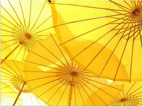 58 Best YELLOW Things Images On Pinterest Yellow Color Schemes Yellow And Yellow Sun