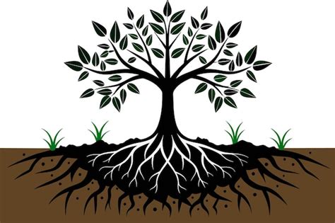 Premium Vector Tree Root Black Tree Isolated Flat Vector Illustration