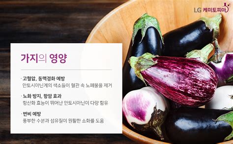 동서양에서 사랑 받는 요리계의 팔방미인 가지의 모든 것 제철작물사전