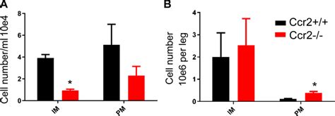 Ccr2 − − Mice Are Deficient In Circulating But Not Bone Marrow Download Scientific Diagram