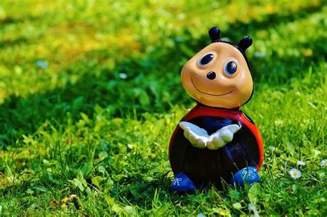 家の虫！侵入対策や予防法の意外な解決策とアドバイス 厳選！新鮮！とっておきびっくり情報